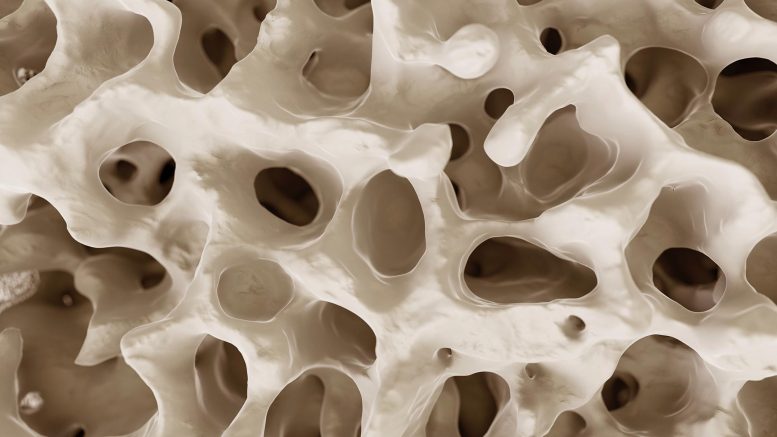Space-Age Solution: Preventing Astronaut Bone Loss With Innovative Compound