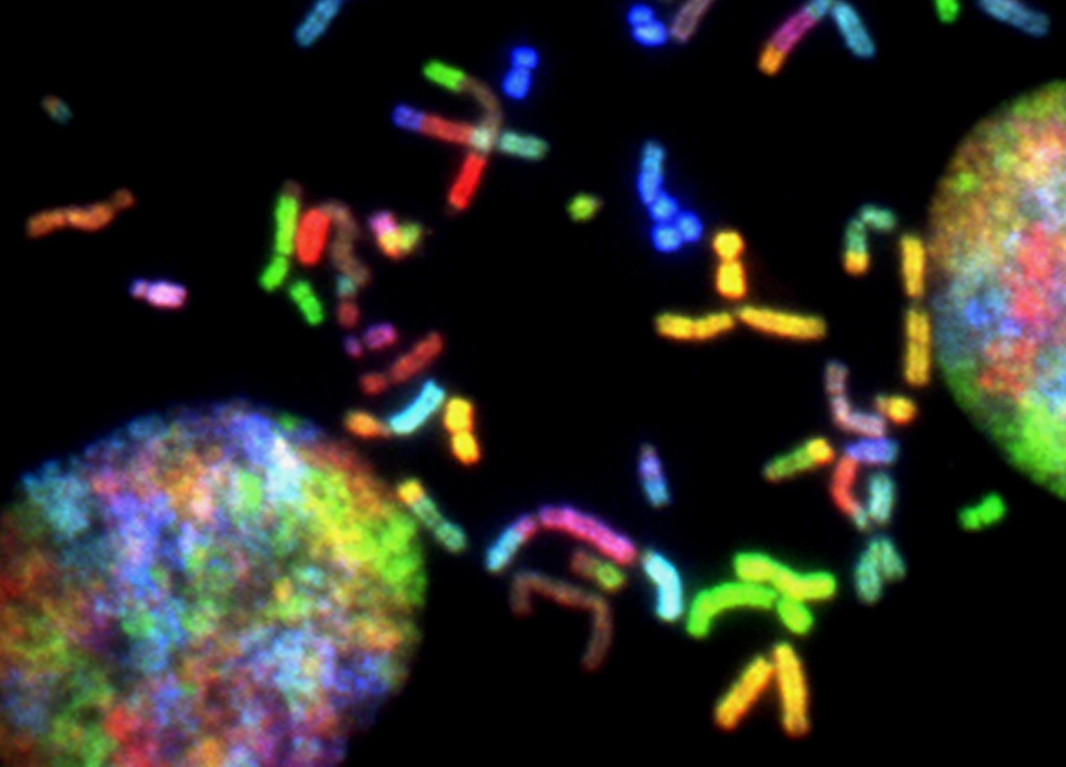 Massive Genetic Map of Cancer Mutations Cataloged – Available to ...