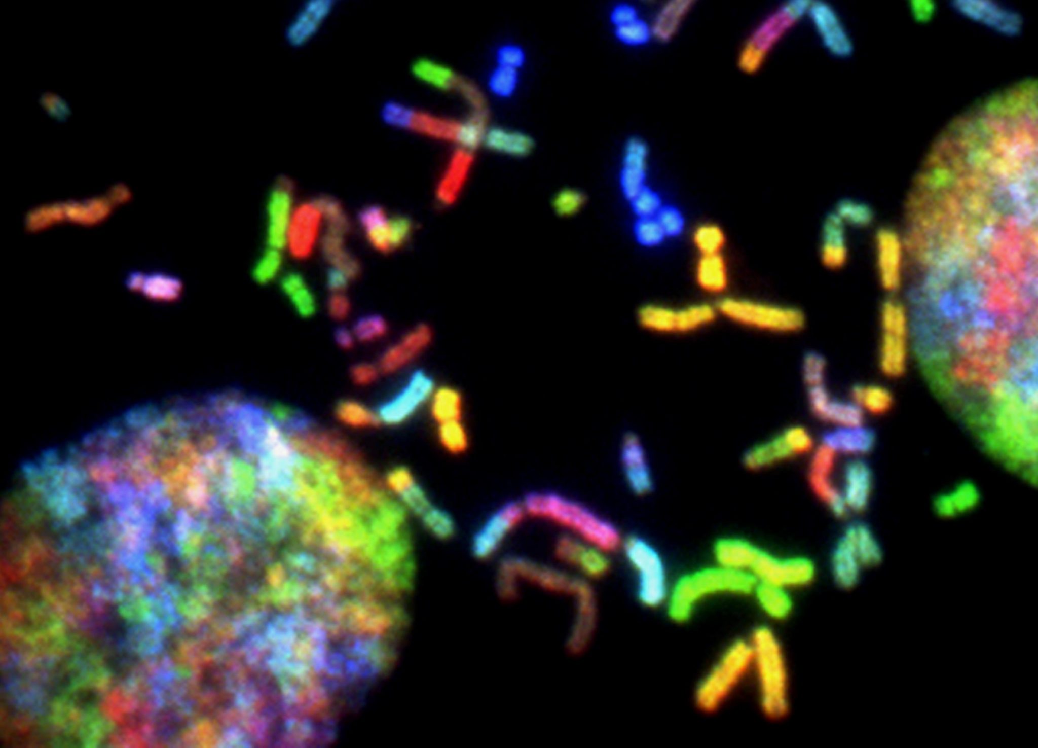 Massive Genetic Map of Cancer Mutations Cataloged – Available to ...