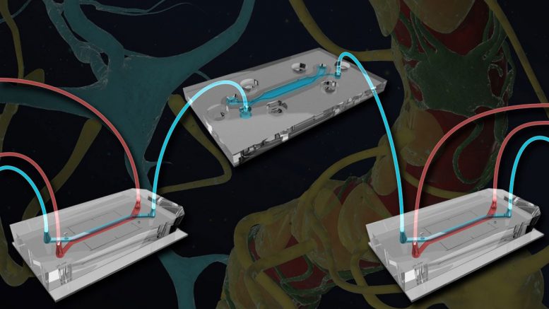 Neuromorphic Chips: Microchips that Imitate the Brain