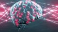 Neurobiologists Create New Memories By Directly Altering The Brain