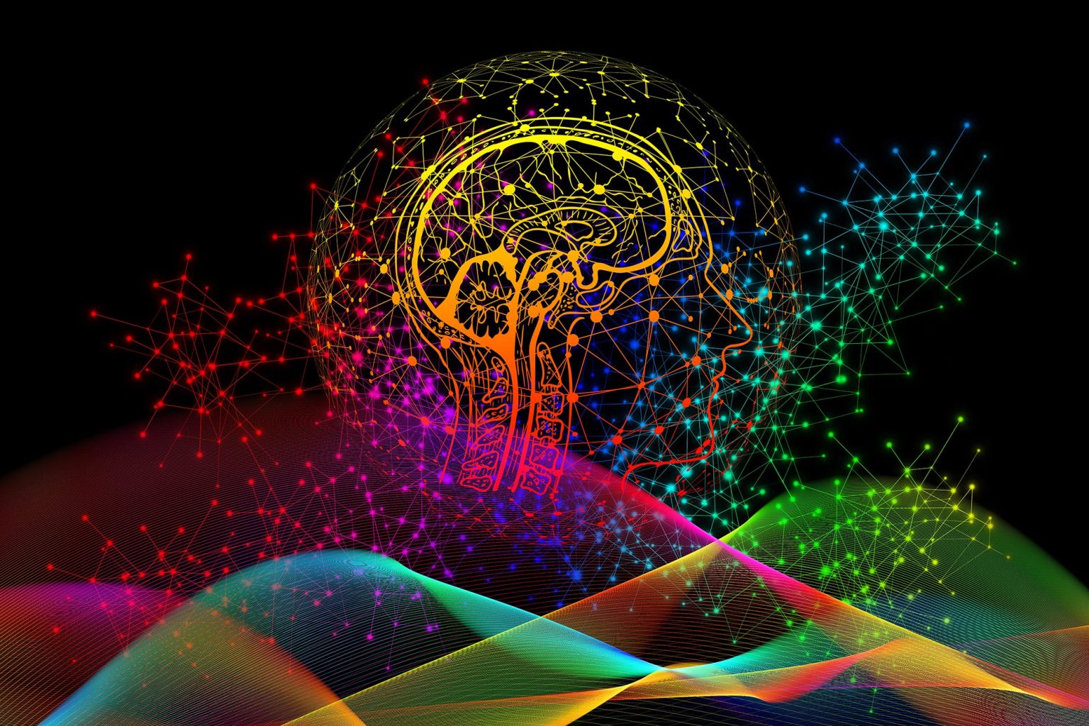 Unlocking the Brain’s Secrets: Where Does Conscious Experience Truly ...