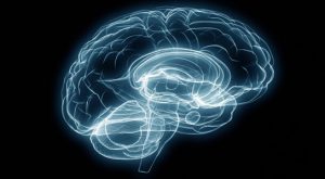 Brain Disruption Shows That Mental Illnesses Have Biological Similarities