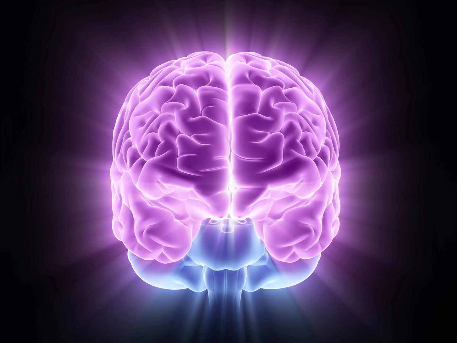 Improving Memory: New Study Finds That Moderate Stress Is Actually Good ...