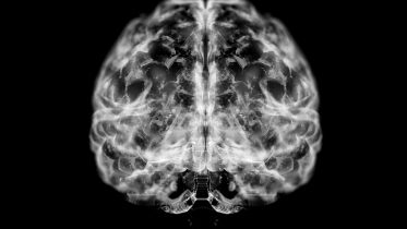 Growth in Brain's White Matter Tracts Could Predict Literacy