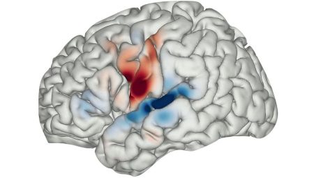 Unlocking the Brain’s Hidden Circuit: How We Distinguish Our Own Voice ...
