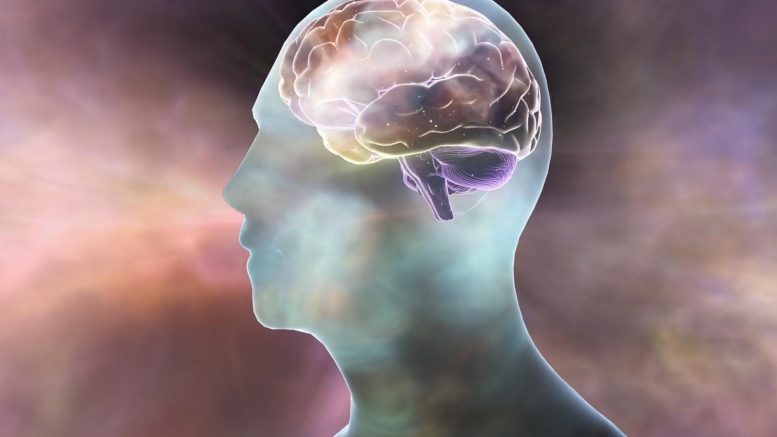 Brain Scans Help Scientists Read Dreams