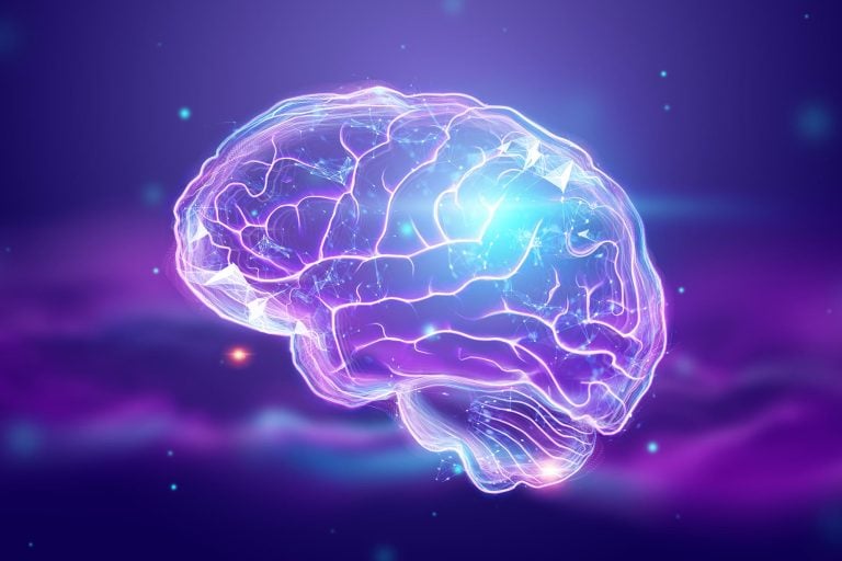Scientists Discover “Master Key” Protein for Stronger Memory and Learning