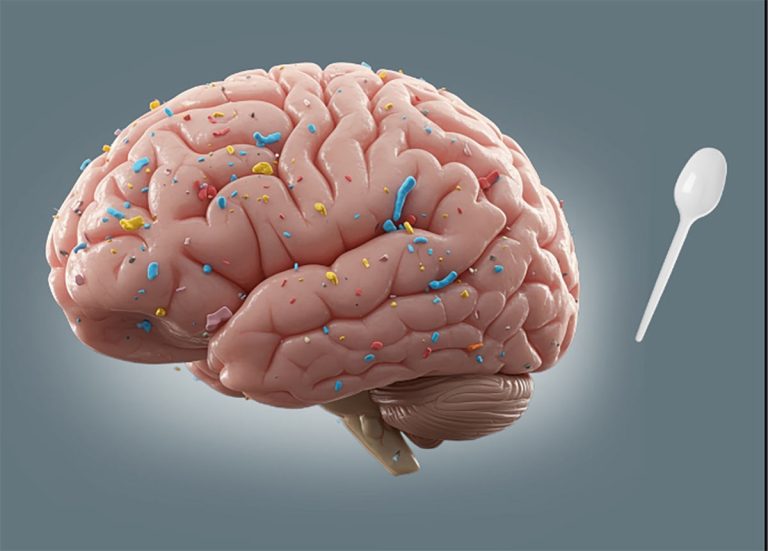 Scientists Discover Alarming Amount of Microplastics in Your Brain ...
