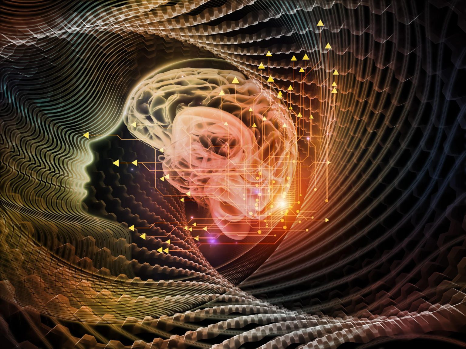 Inside the Unconscious Brain: Scientists Reveal Hidden Geometry of Consciousness