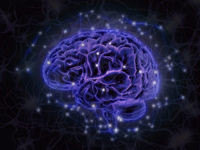 Feeling Disconnected? Loneliness Alters Your Brain’s Social Network