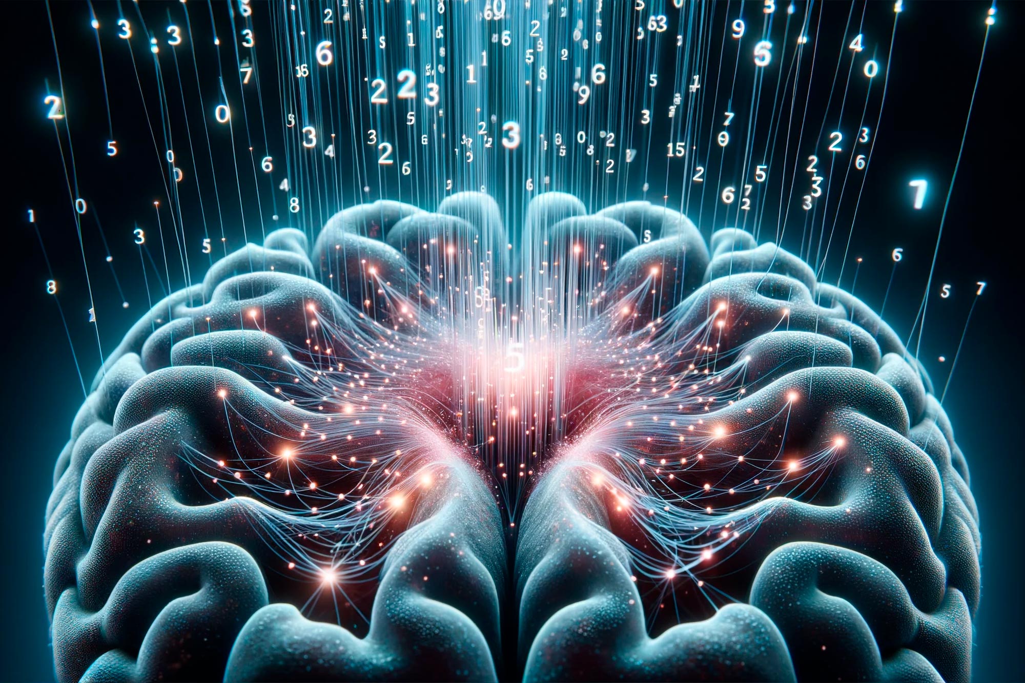 Lottery Logic: How the Brain Decodes Economic Risks