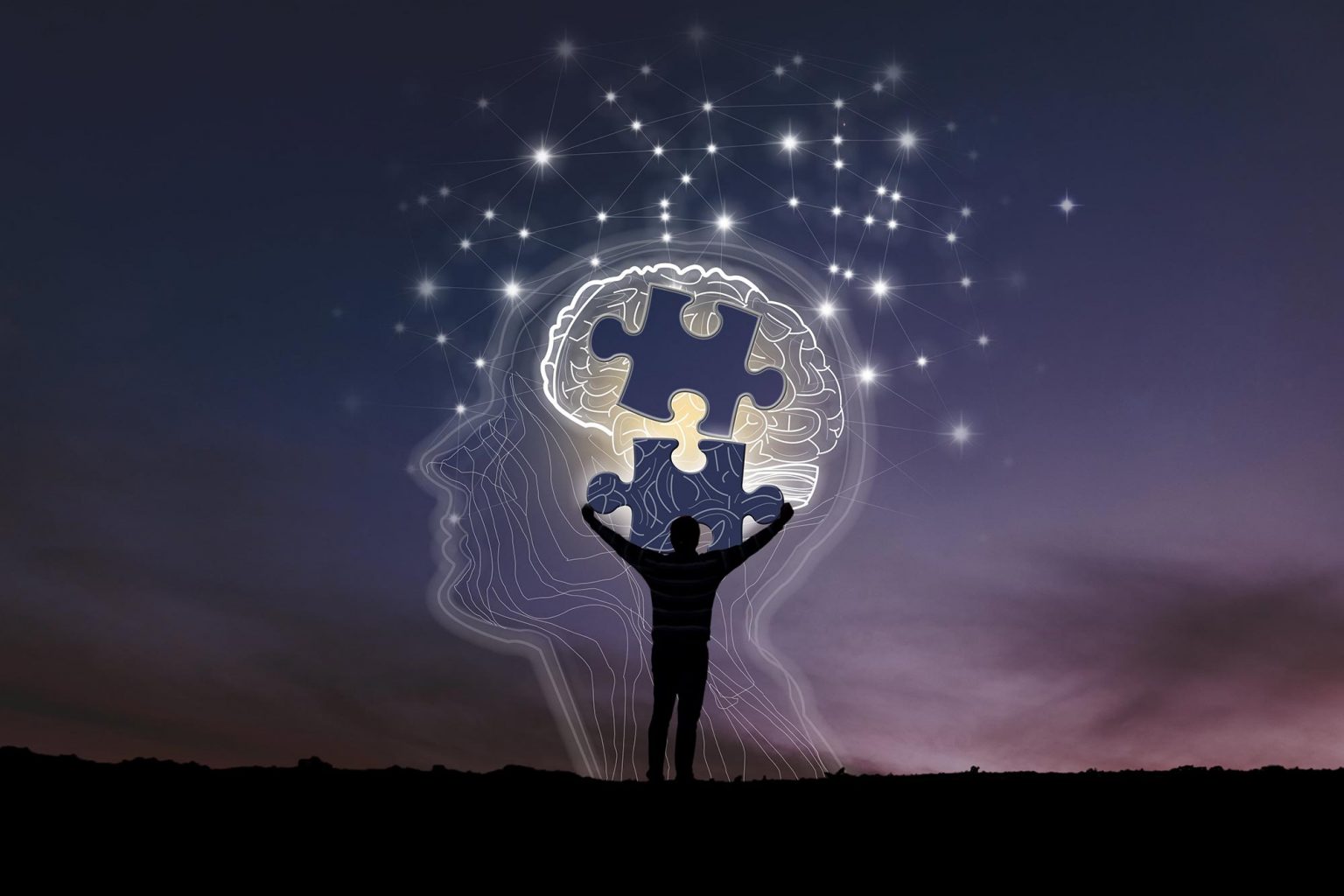 Beyond Dopamine: New Brain Reward Circuitry Discovered