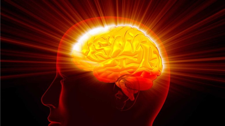 Understanding Dyscalculia and How the Brain Processes Numbers