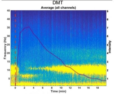 DMT Creates Vivid Waking Dream State in the Brain – “It’s Like Dreaming ...