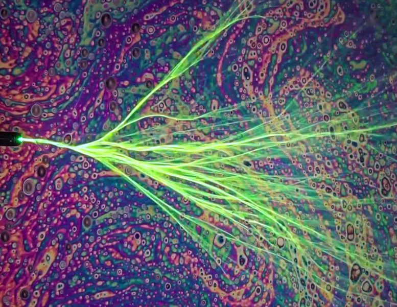 Branched Flow of Light Observed for the Very First Time