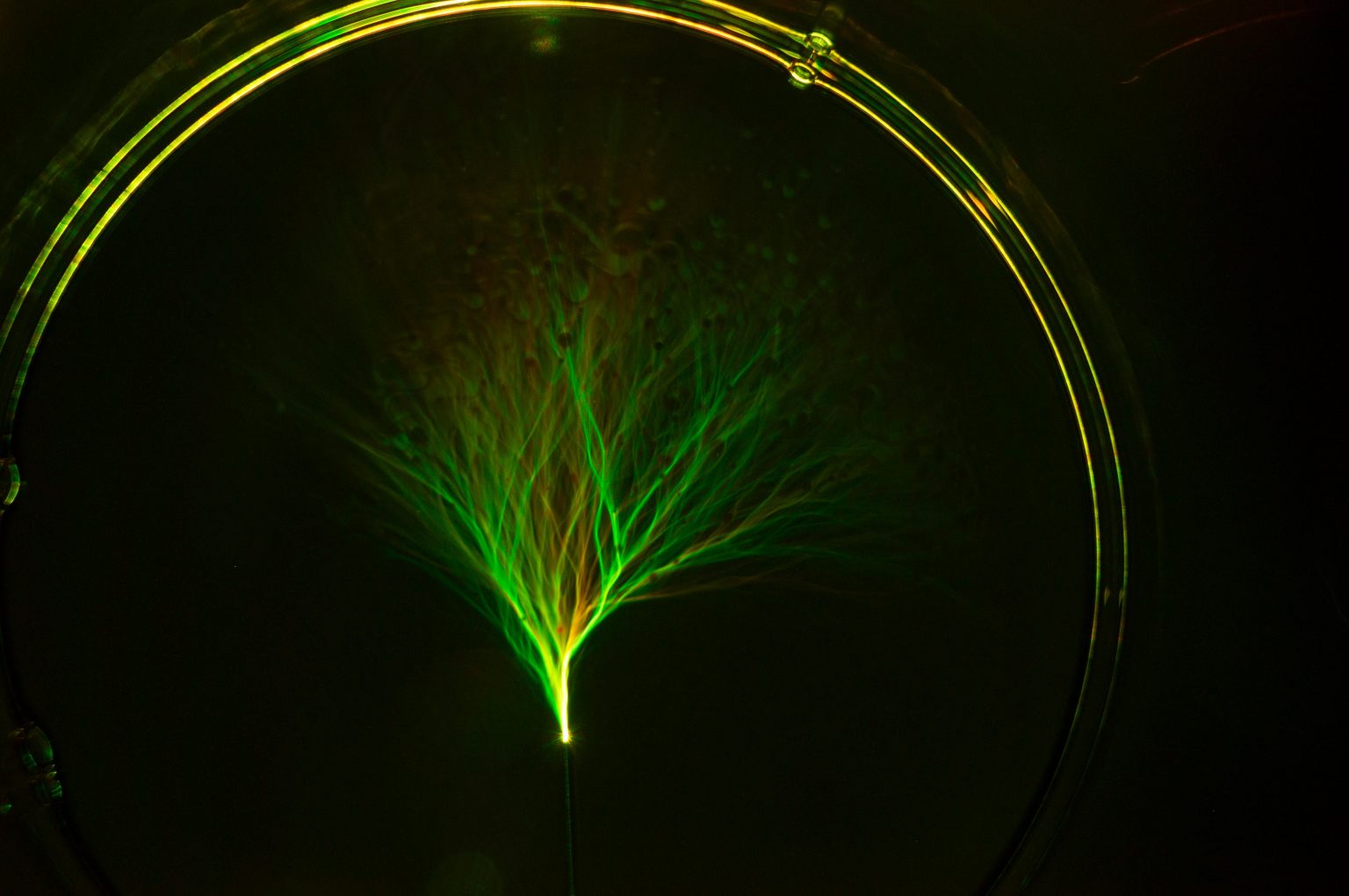 Branched Flow of Light Observed for the Very First Time