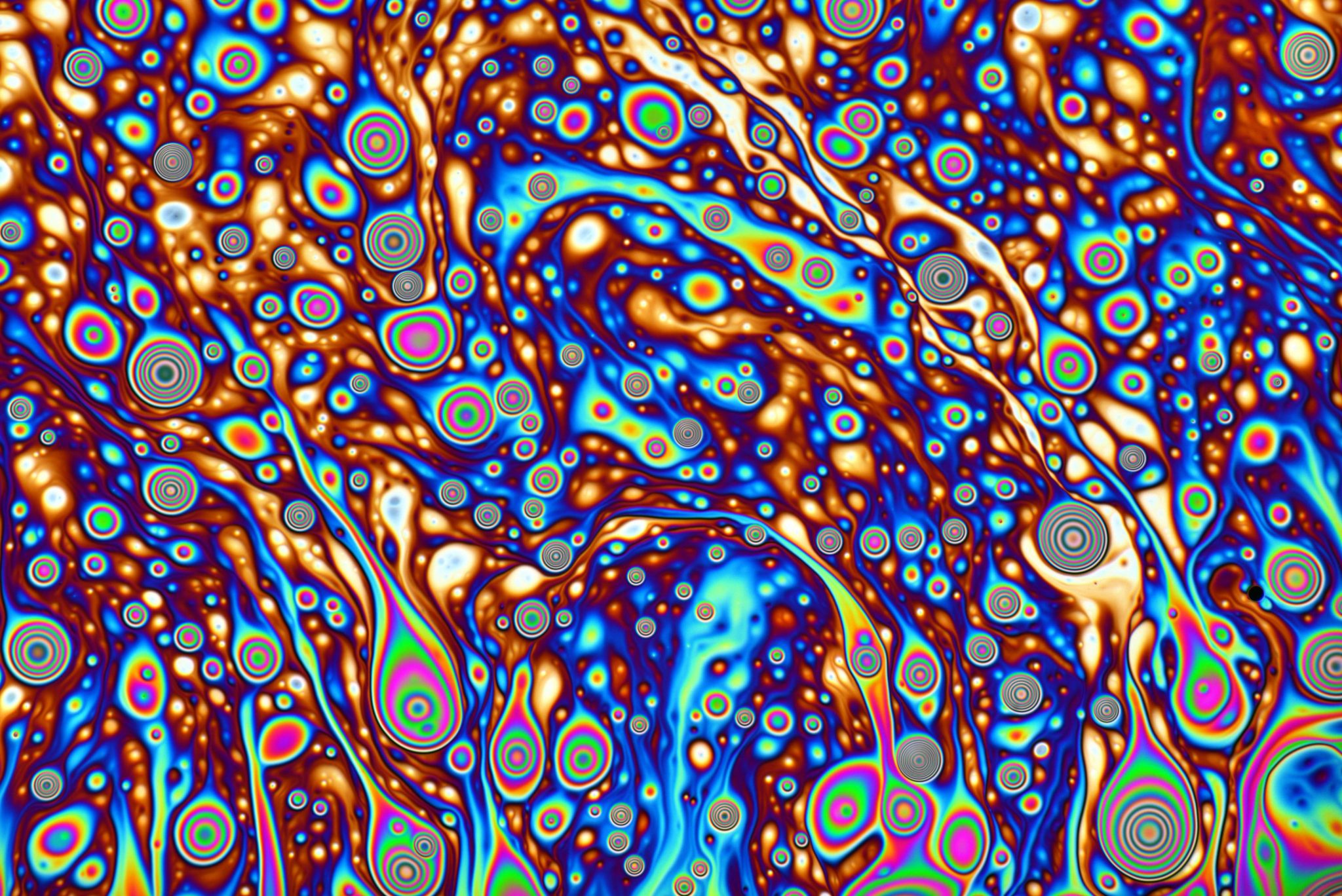 Branched Flow of Light Observed for the Very First Time