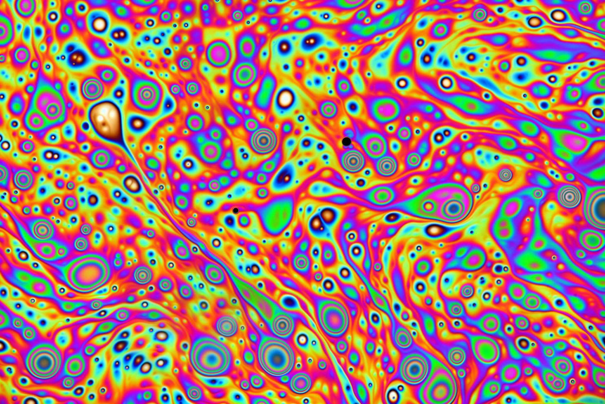 Branched Flow of Light Observed for the Very First Time