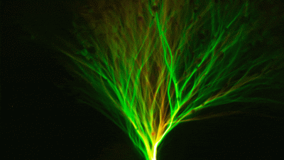 Engineers Enhance the Interactions Between Light and Matter