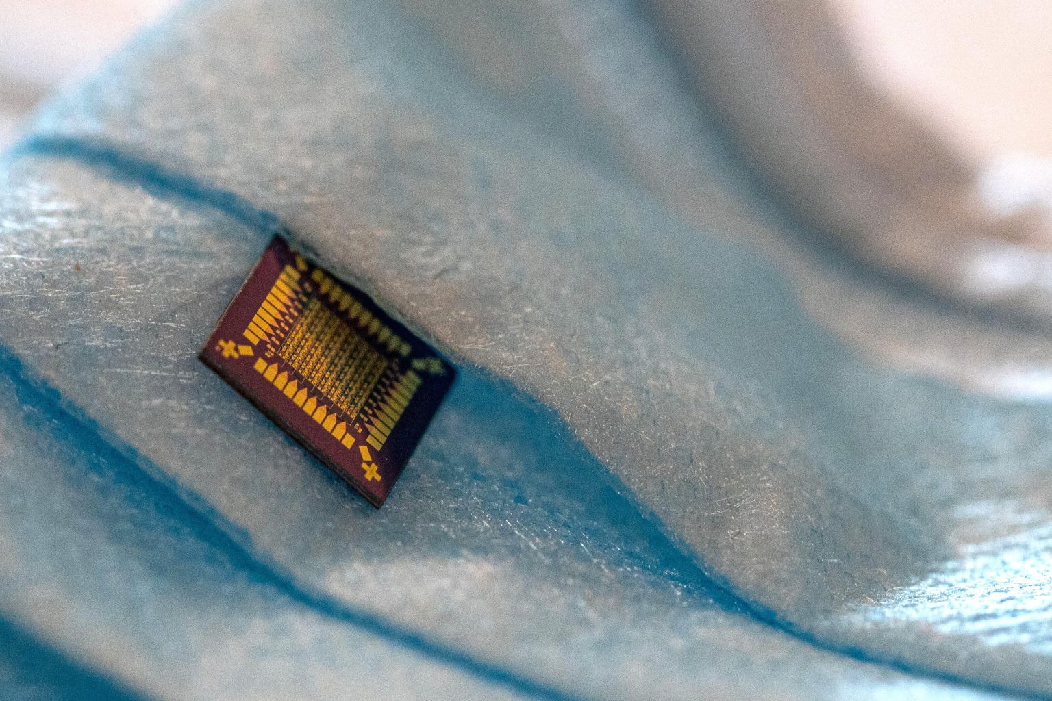 Silk Meets Silicon: The Dawn of Biological Hybrid Transistors