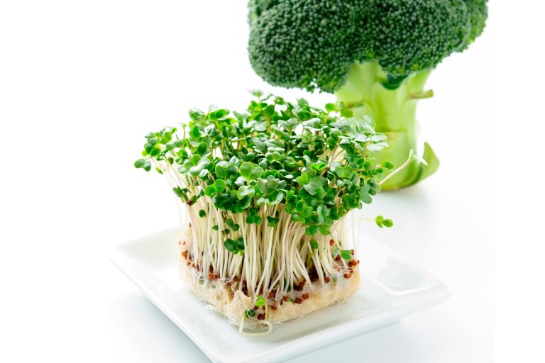 Green Power Surge: The Surprising Hidden Health Benefits of Broccoli ...