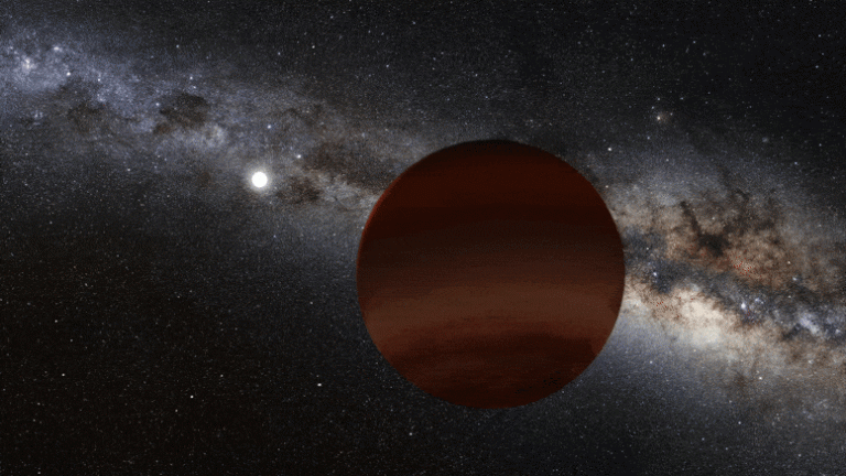 Backyard Worlds Planet 9 Citizen Science Project Finds a Brown Dwarf