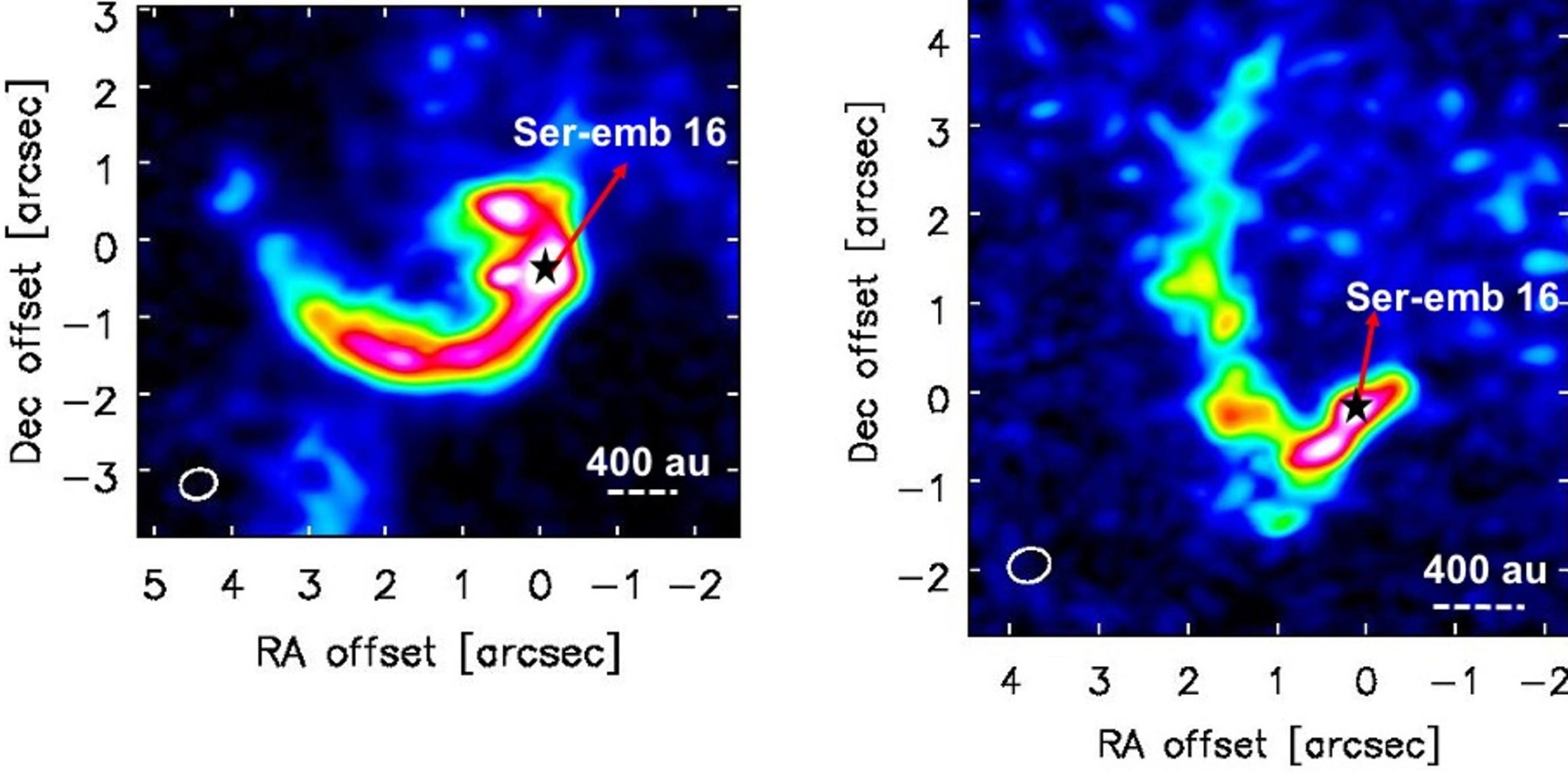 The Chaotic Birth of Brown Dwarfs Revealed