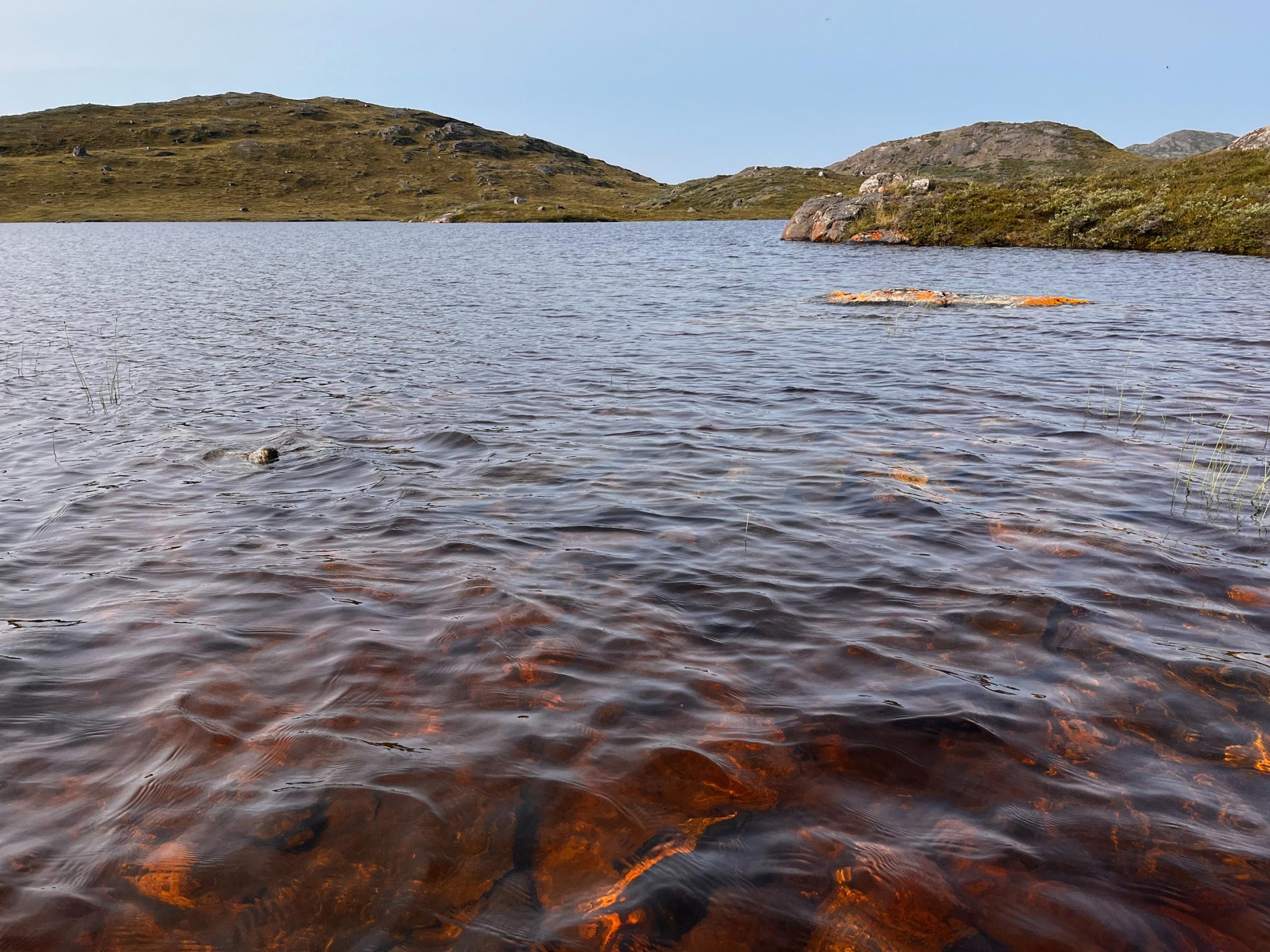 Thousands of Greenland’s Blue Lakes Turn Brown Overnight As Extreme ...