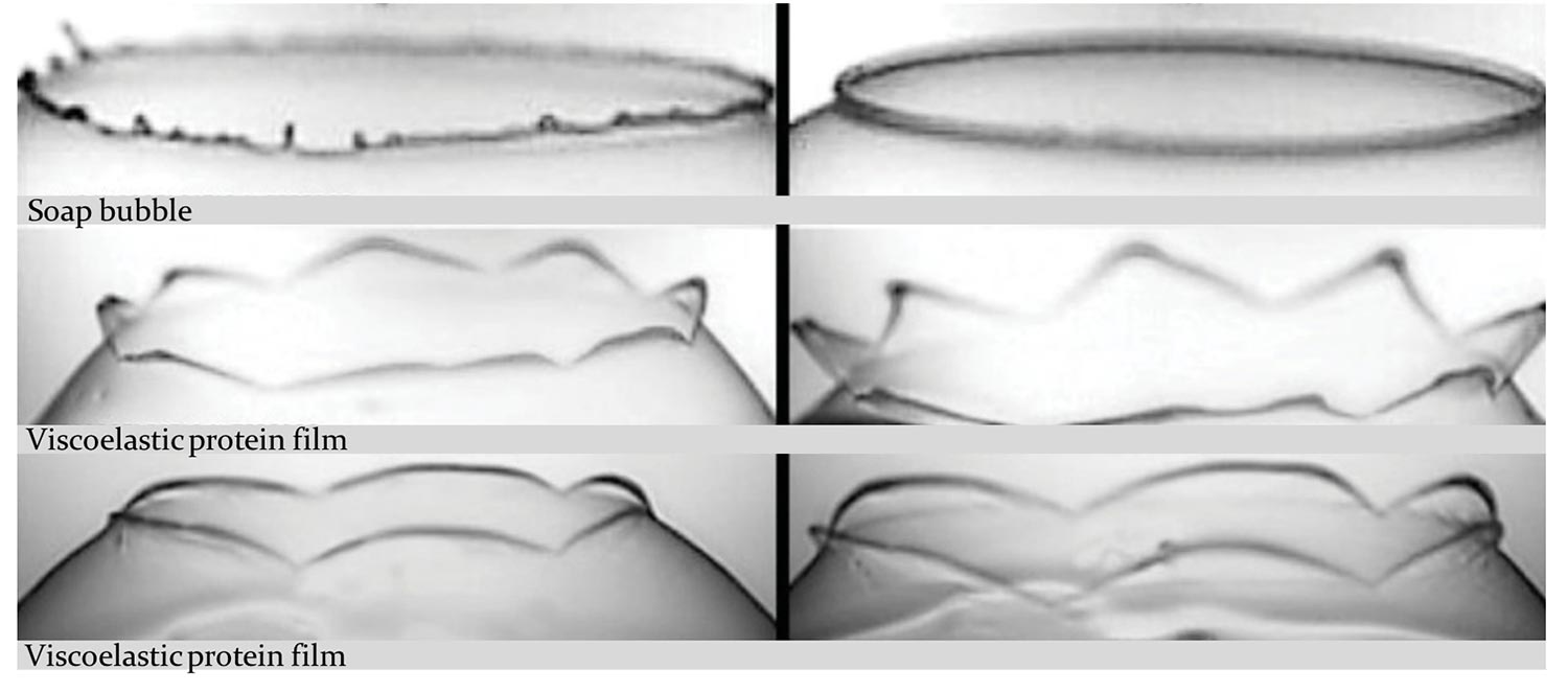 High-Speed Cameras Reveal Bubbles Popping Like Blooming Flowers