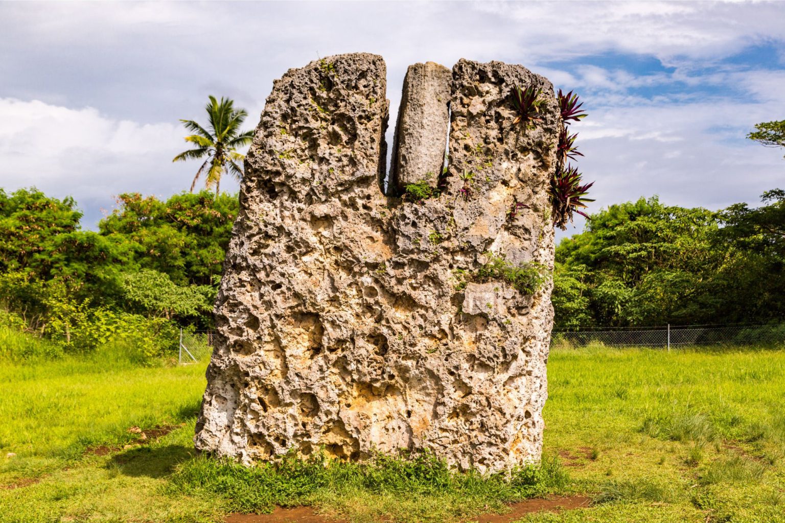 Ancient Pacific City Discovered: Urbanization Began 700 Years Earlier ...