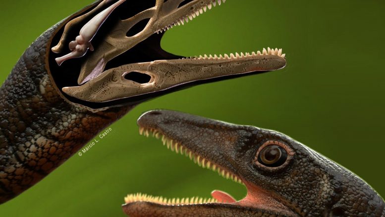 Science News - Page 75 of 171 - SciTechDaily