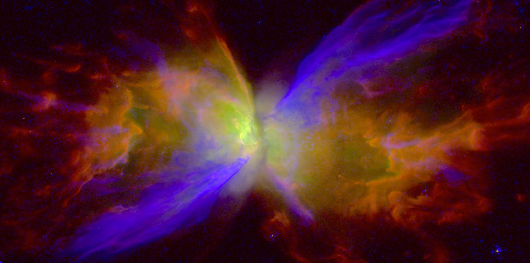 New Research Shows That Something Strange Is Going On in the Butterfly ...