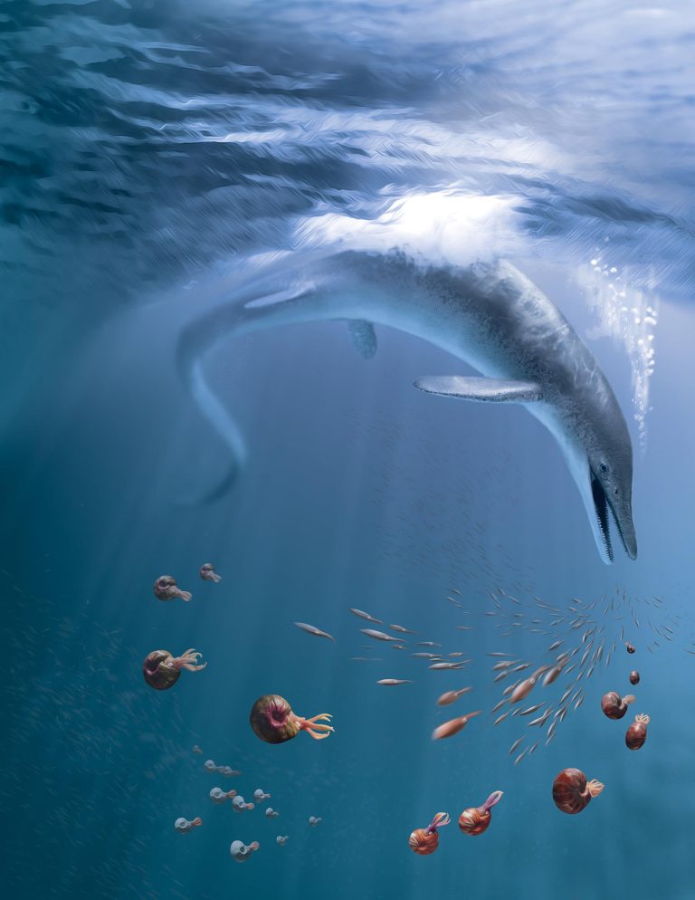 Earth’s First Giant: Newly Discovered Species of Ichthyosaur Was ...