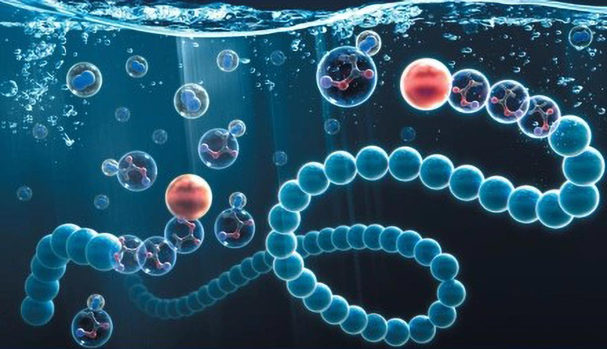 Japanese Chemists Have Synthesized Unique Polymers With an ...