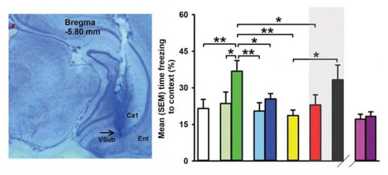 Secrets of the Molecular Makeup of Cannabis Reveals How CBD and THC ...