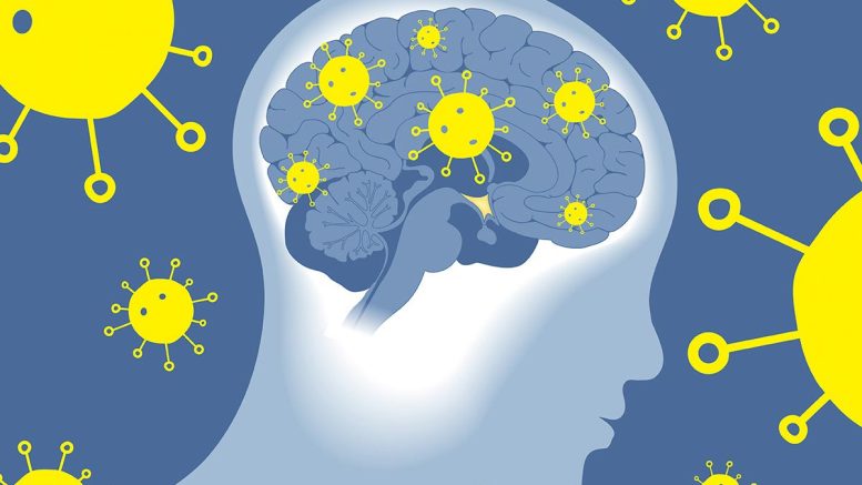 New Research Reveals Covid 19 Leads To Cognitive And Behavioral Problems
