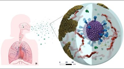 Researchers Urge Shift in COVID-19 Public Health Guidance