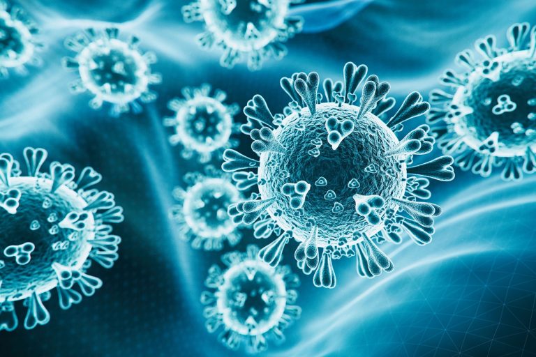 Newly Discovered Virus Similar to COVID Could Infect Humans and Resist ...