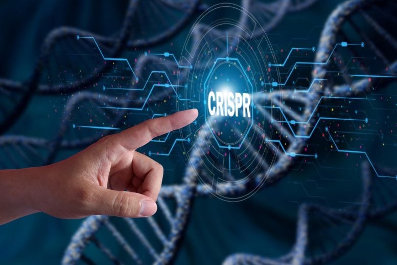 Průlom CRISPR by mohl přepsat budoucnost léčby genetických chorob | Midar