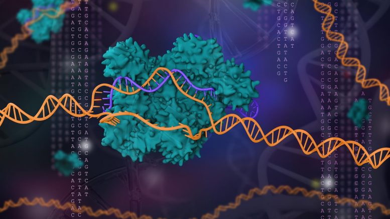 CRISPR’s Potential and Dangers: Is CRISPR Worth the Risk?