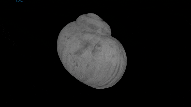 Scientists “Escape the Confines of the Natural World” to Dissect the ...