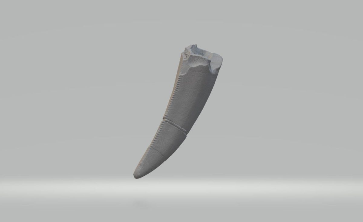 Researchers Discover Extraordinary 135-Million-Year-Old Tyrannosaur ...