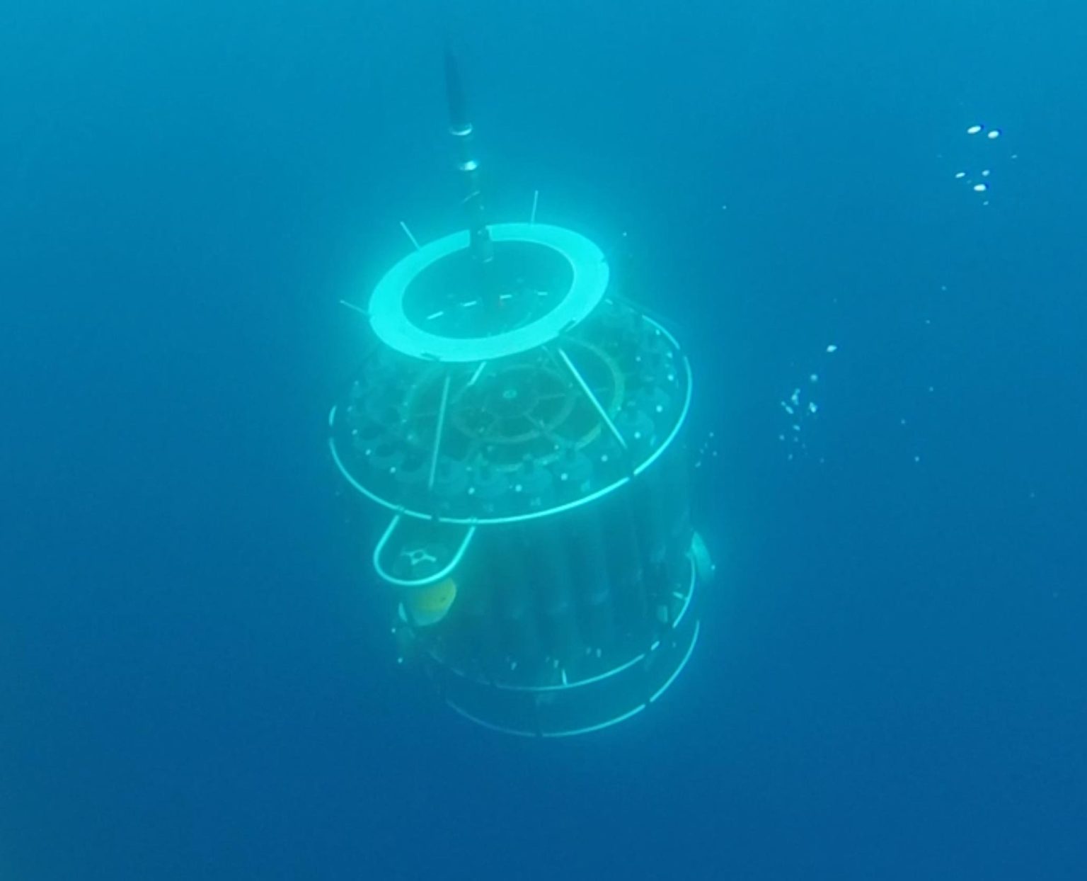 “Invisible Forest”: Hidden Phytoplankton Thriving As Oceans Warm
