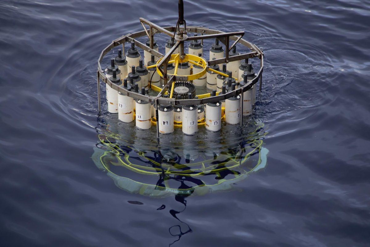 Deep-Sea Discovery Shines Light on Life in the Ocean’s Mysterious ...