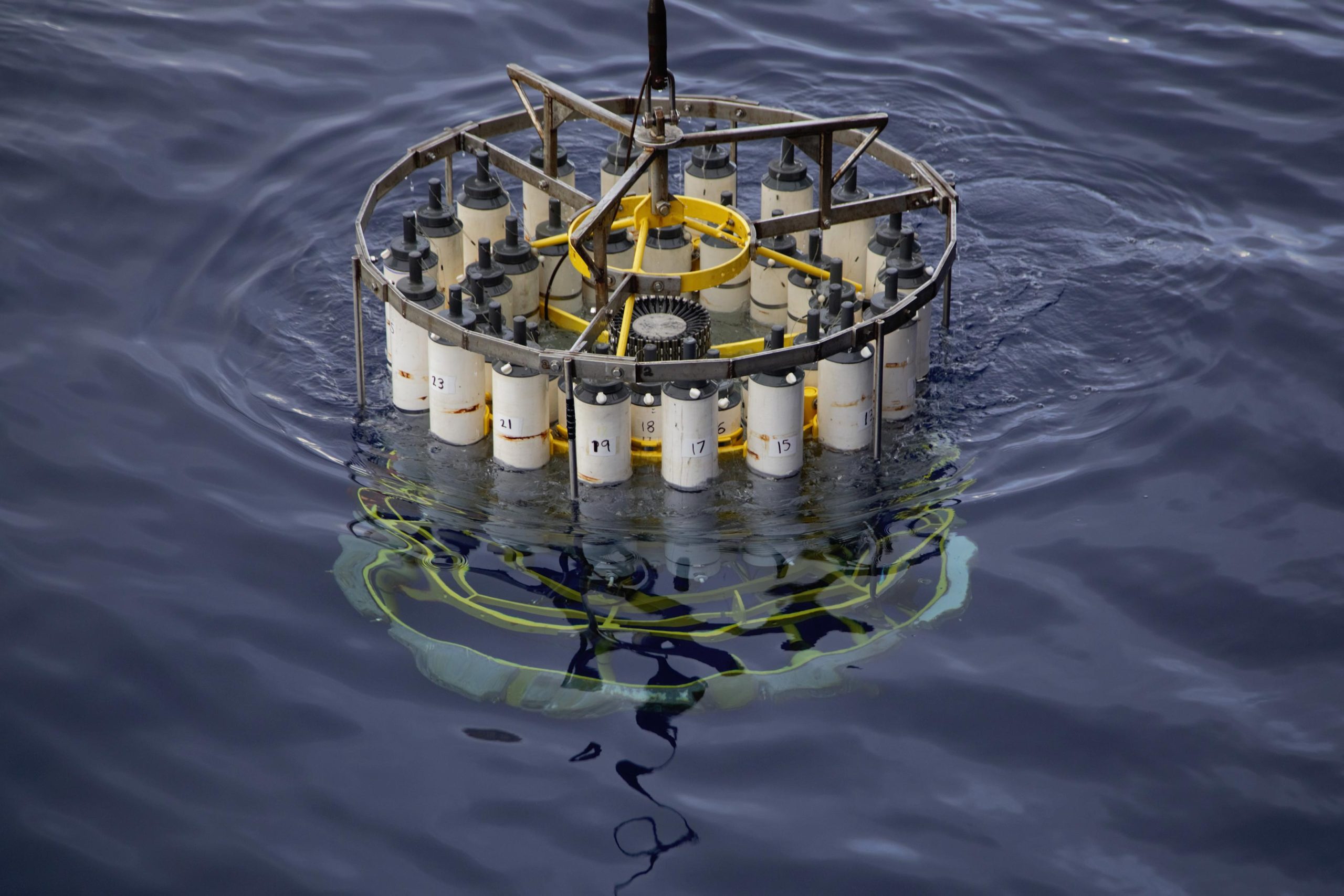 Deep-Sea Discovery Shines Light on Life in the Ocean’s Mysterious Twilight Zone