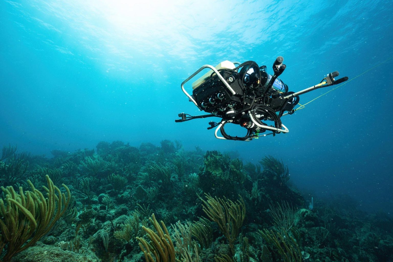 AI Cracks the Ocean’s Acoustic Code to Reveal Hidden Marine Life