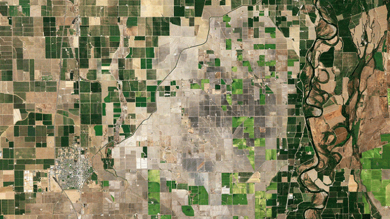 Sustained Productivity: Farmers Move to High-Yielding, Cost-Saving ...