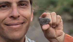 95 Million-Year-Old Species Has Scientists Rethinking The Definition Of ...