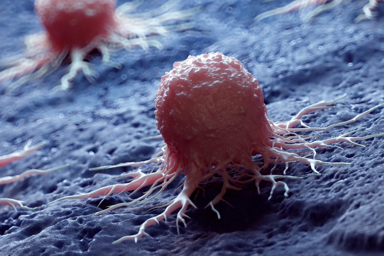 The Surprising Things Scientists Are Learning About Diabetes Drugs and ...